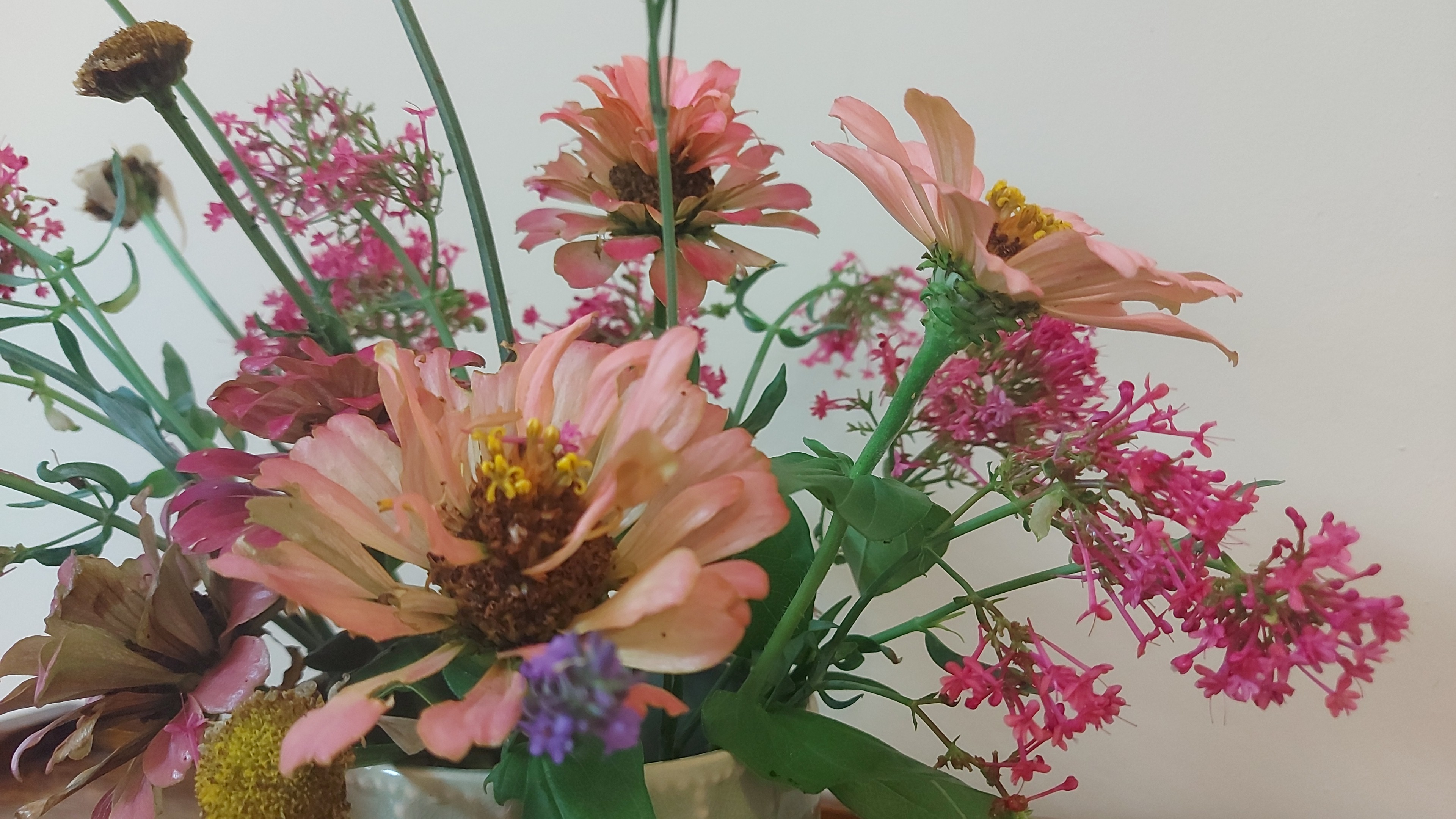 Rain soaked flowers! – ROADS WE TRAVEL AND DESTINATIONS REACHED