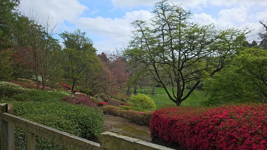 Saville Garden 7 April 2024 – ROADS WE TRAVEL AND DESTINATIONS REACHED