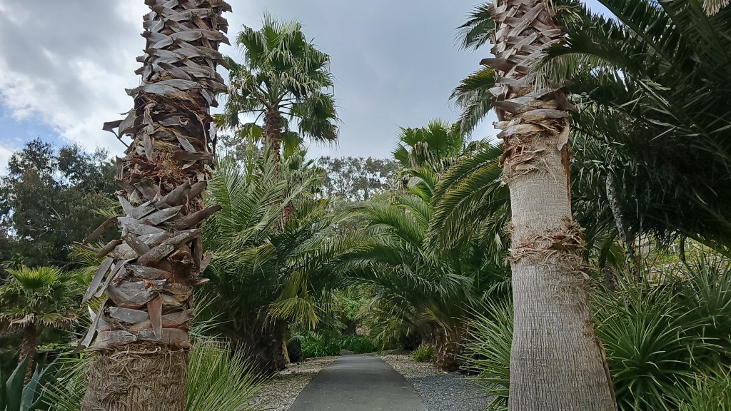 Ventnor botanical garden on the Isle of Wight – ROADS WE TRAVEL AND ...
